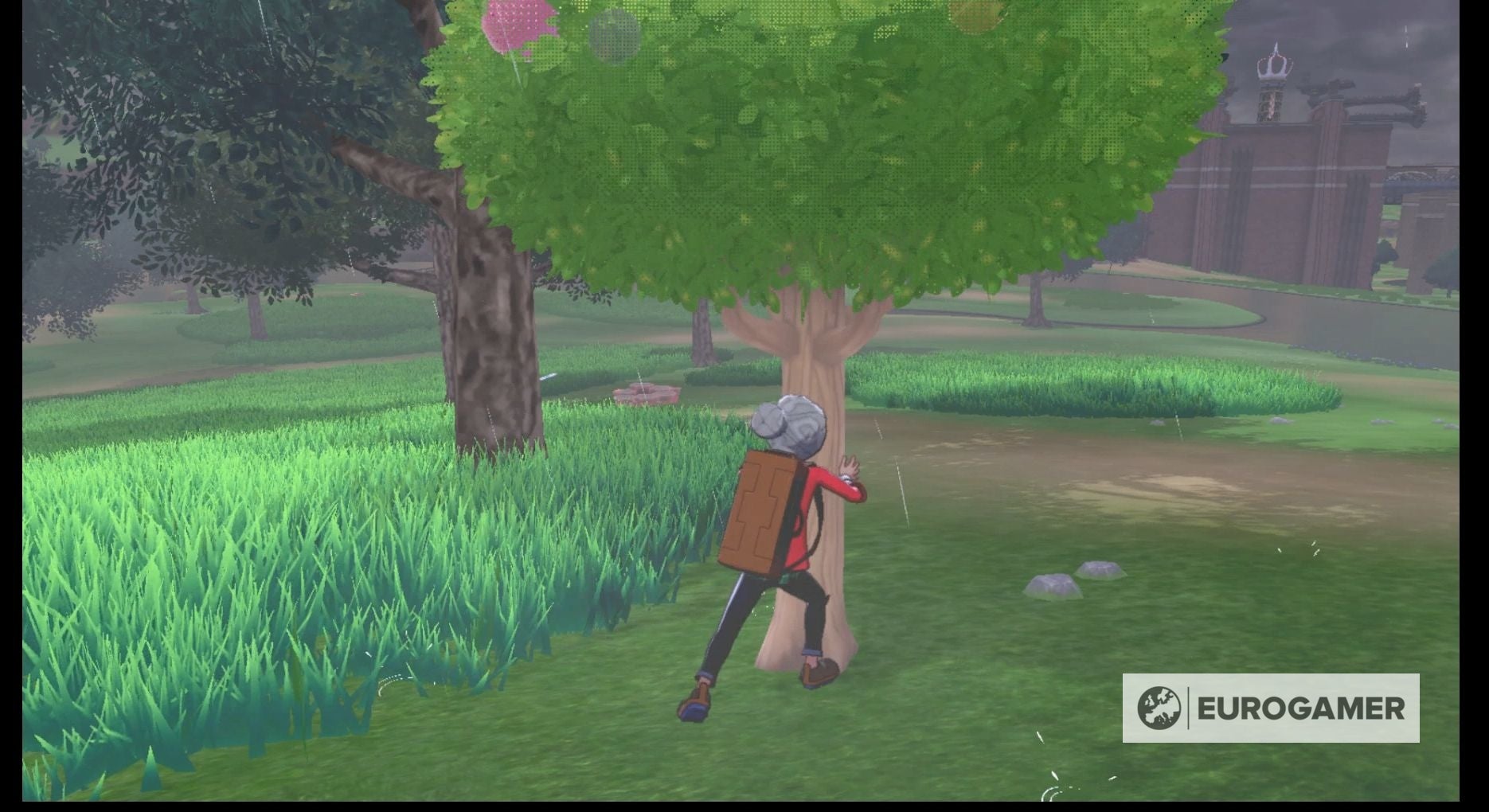 Pokémon Sword and Shield Pokémon Camp - playing with your Pokémon and ...