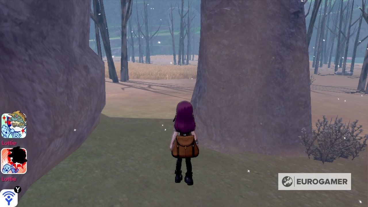 Pokémon Sword and Shield Evolution Stones explained -which Pokémon ...