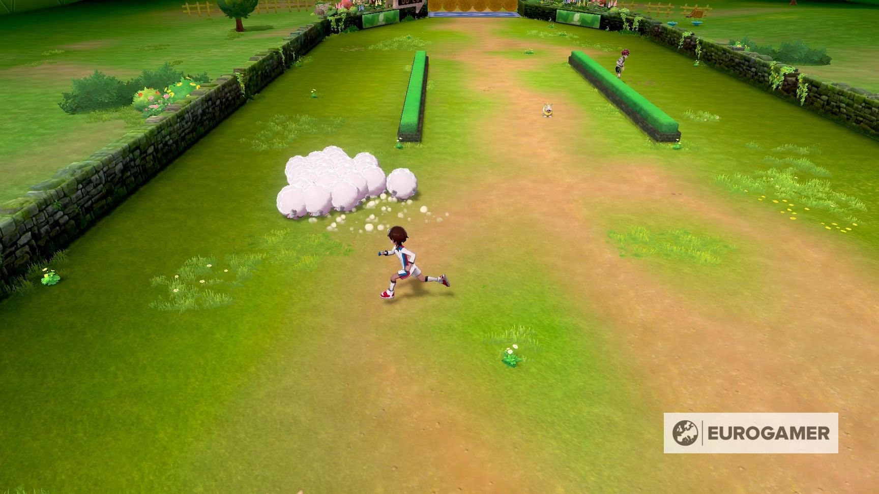 Pokémon Sword and Shield Turffield Gym mission: how to herd Wooloo and ...