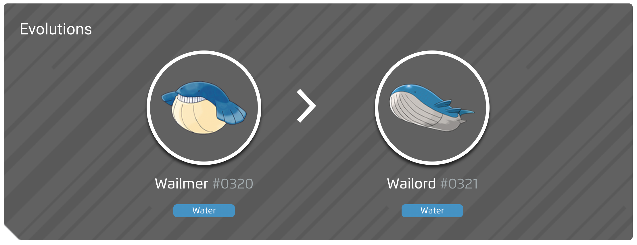 Wailord Evolution Chart