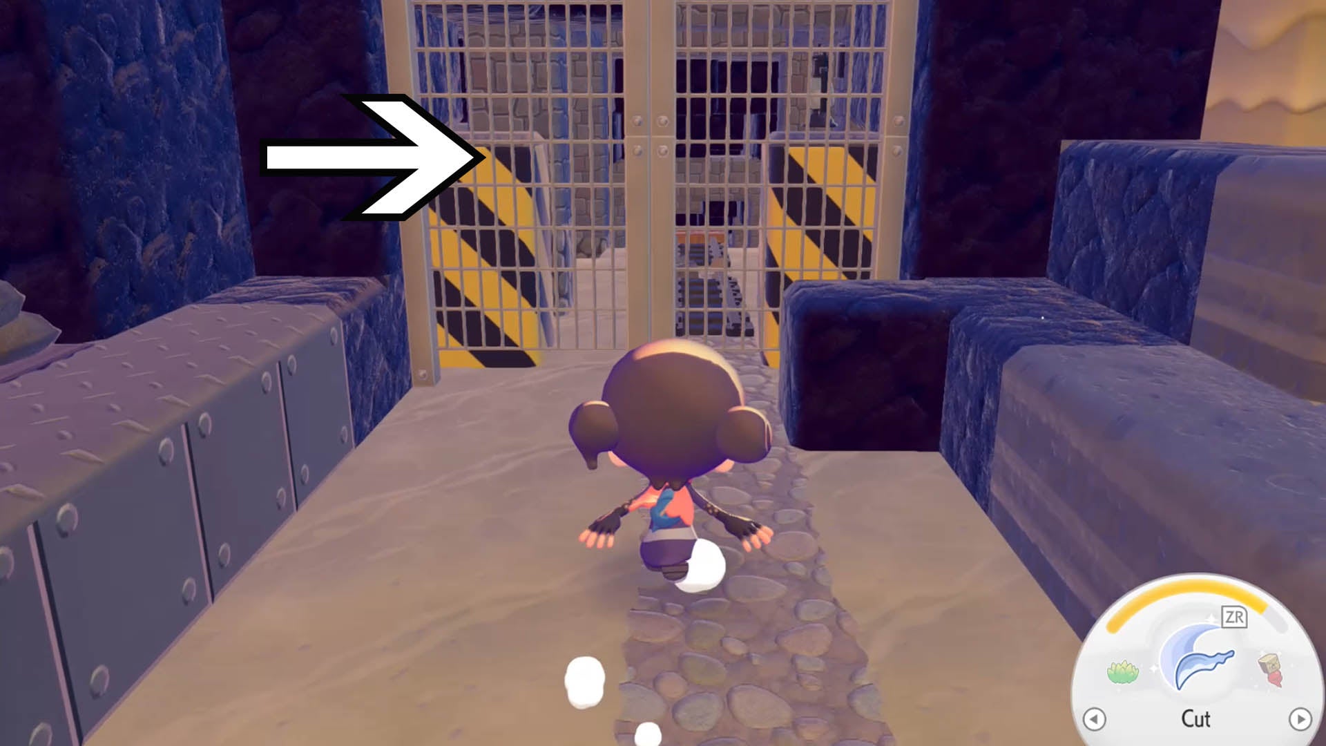 Pokémon Pokopia Diary Entry locations | Eurogamer.net