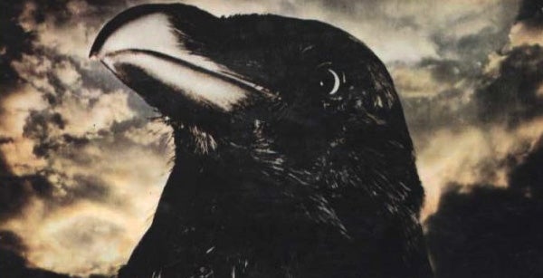 Cardboard Children: A Board Game Column | Rock Paper Shotgun