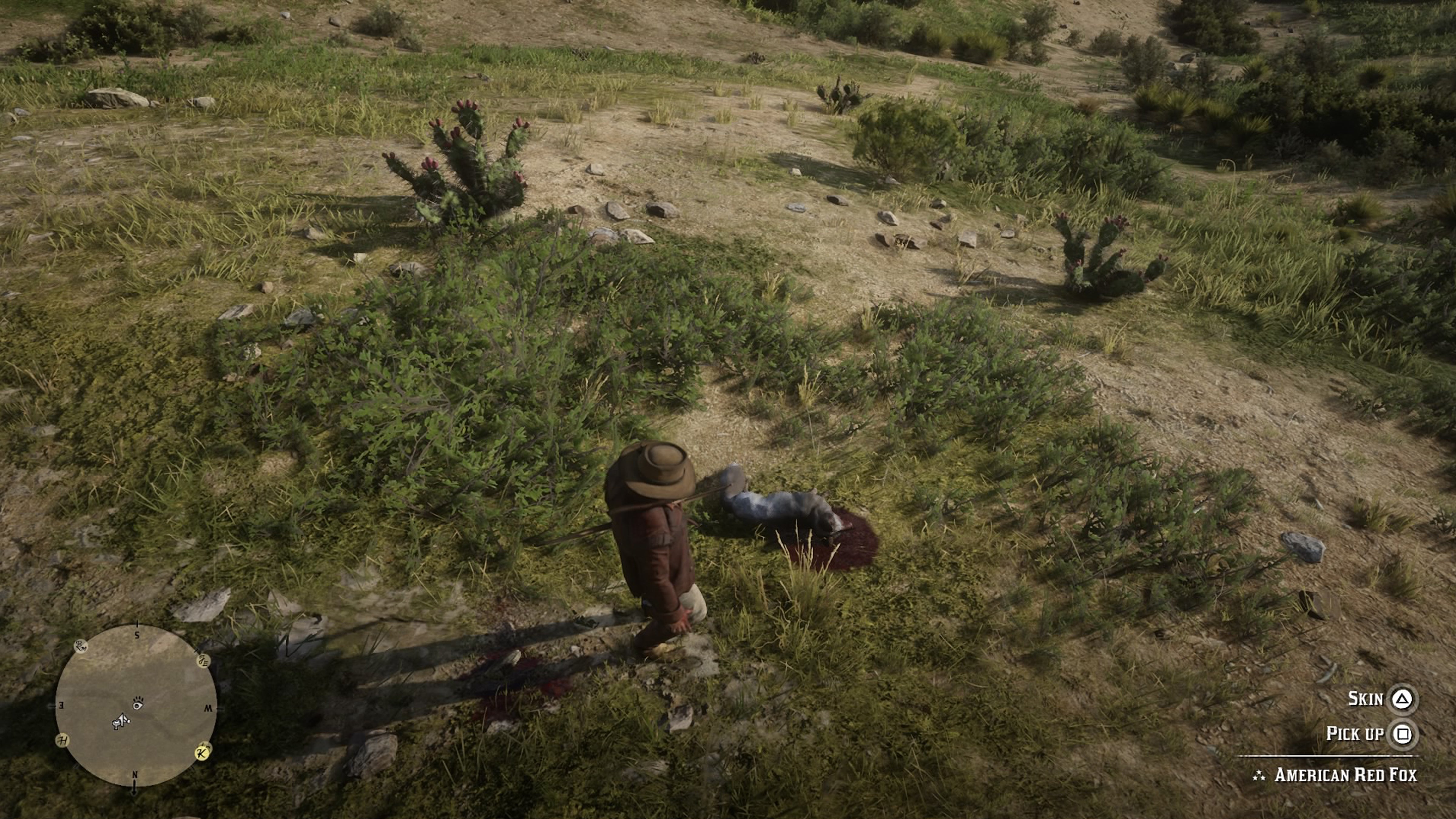 Red Dead Redemption 2 Pelts Guide: How to get perfect pelts | VG247