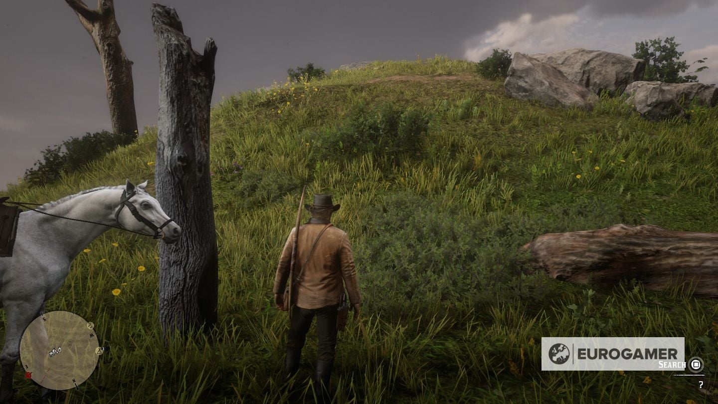 Red Dead Redemption 2 Poisonous Trail Treasure Map location and ...