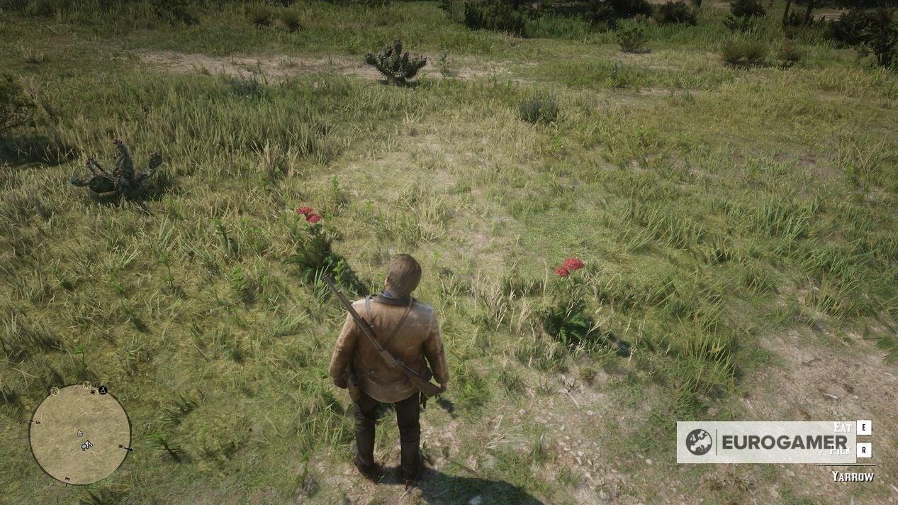 Red Dead Redemption 2 The Ends of the Earth mission explained ...