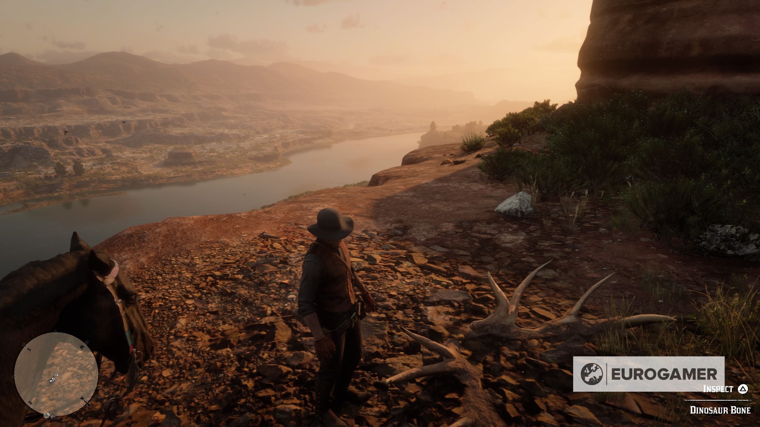 Red Dead Redemption 2 Dinosaur Bone locations and map | Eurogamer.net