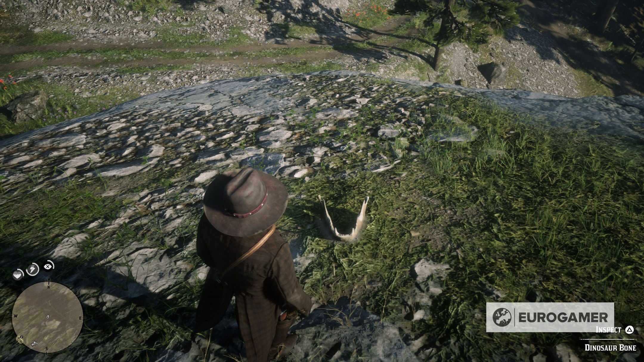 Red Dead Redemption 2 Dinosaur Bone locations and map | Eurogamer.net