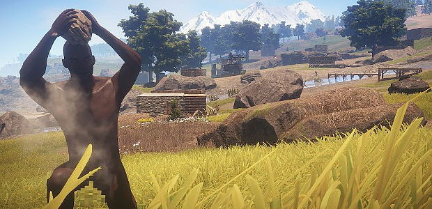 Rust leaving early access February 8th, then development will continue ...