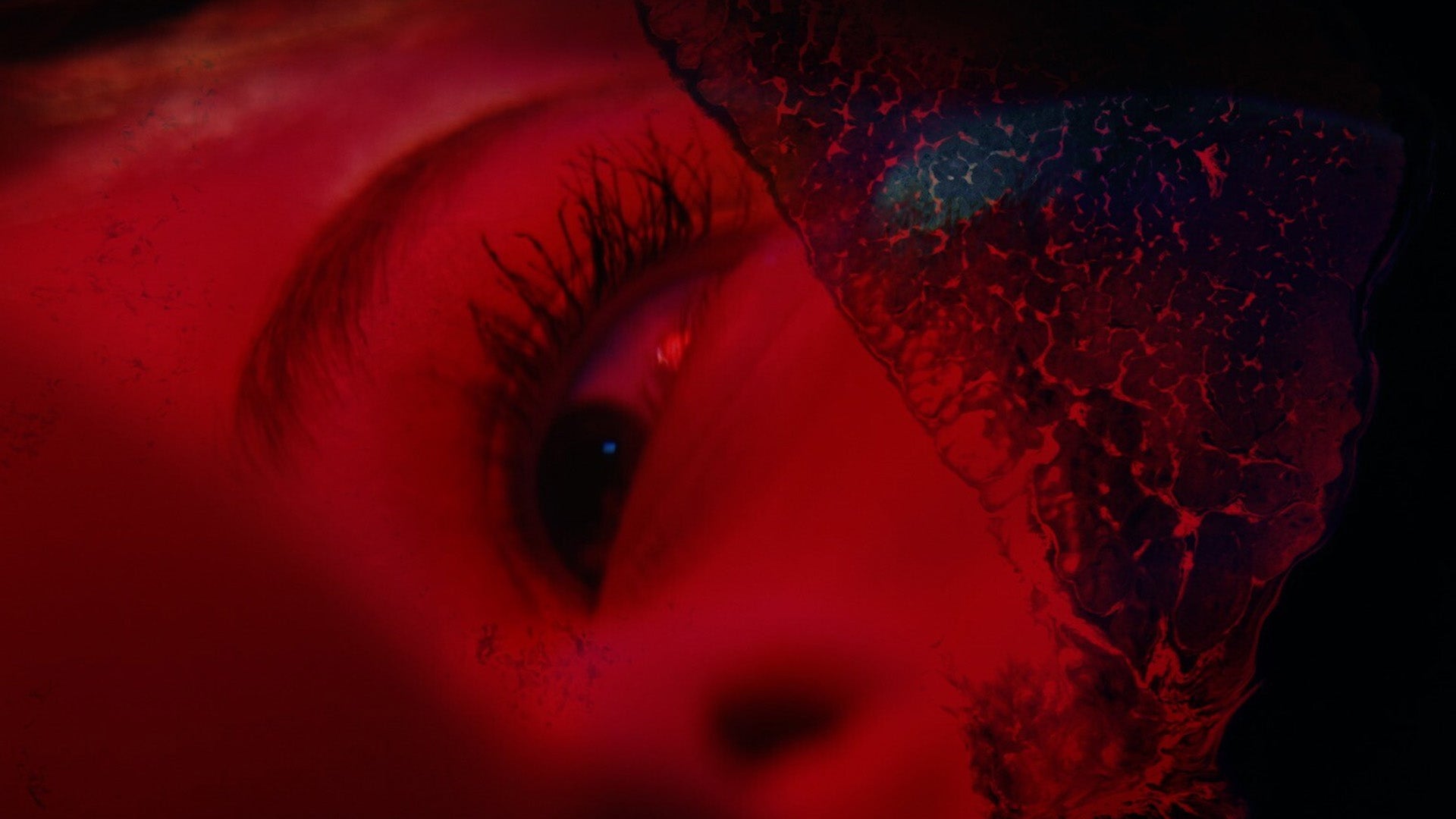 Half Mermaid | Eurogamer.pl