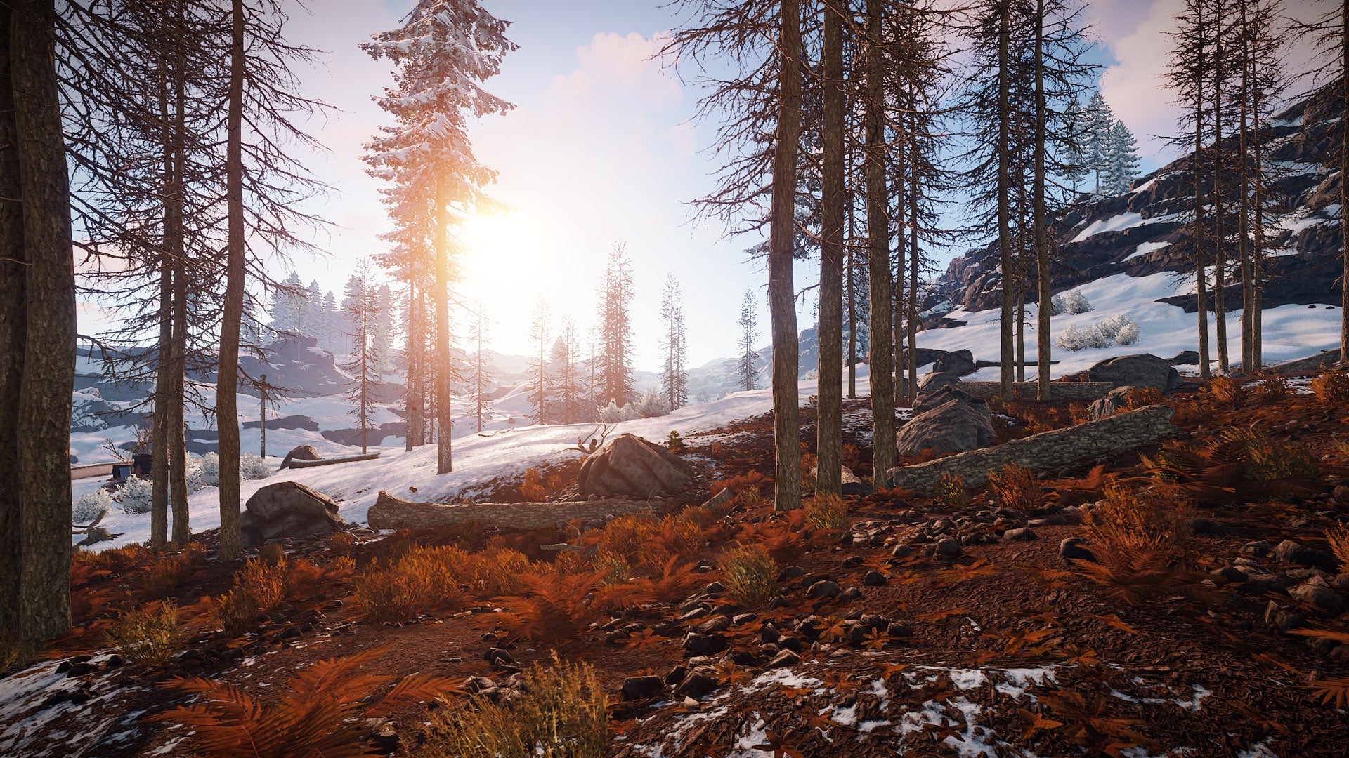 Rust | Rock Paper Shotgun