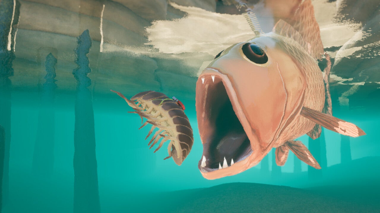 Isopod | Rock Paper Shotgun