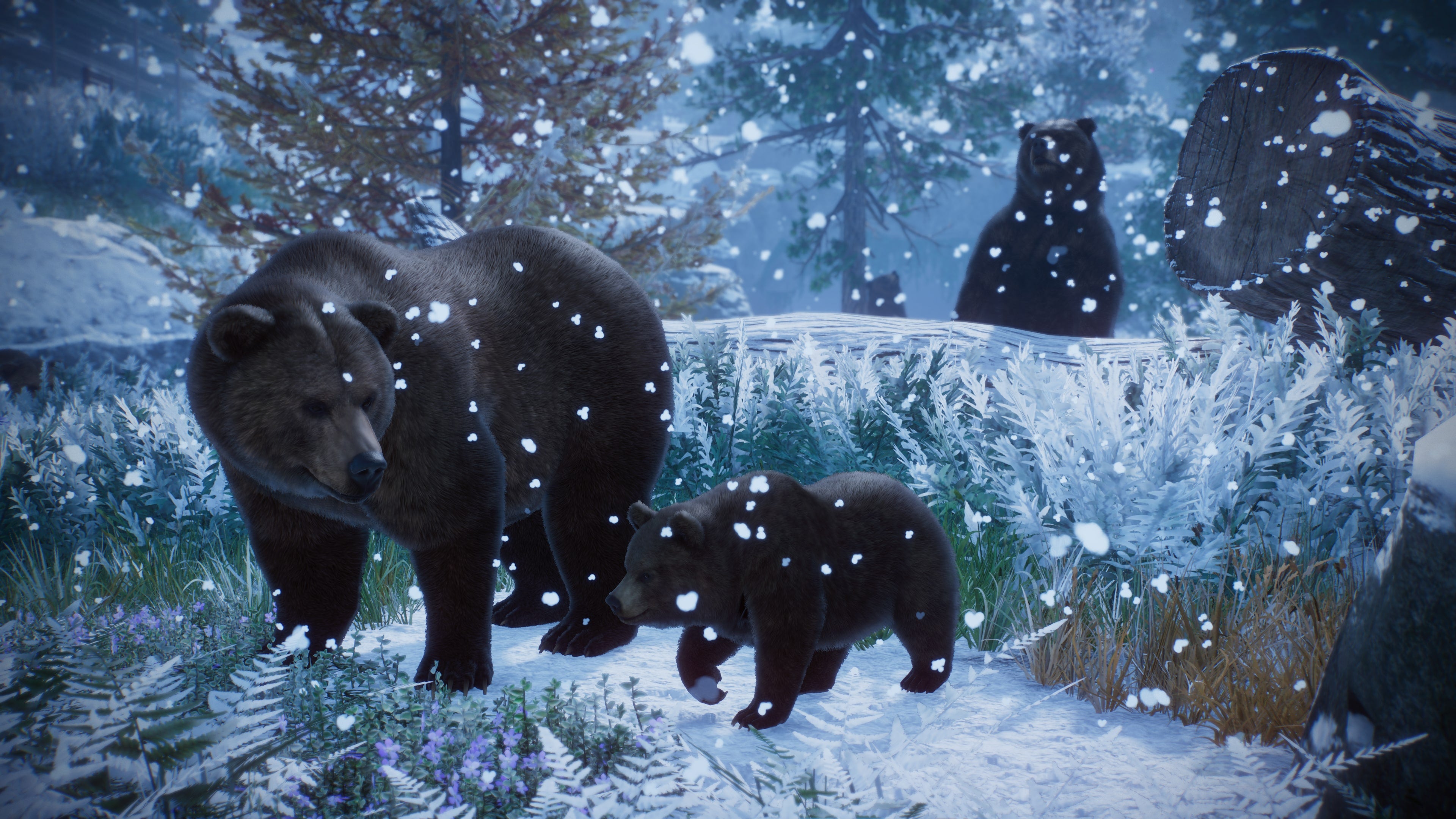 Planet Zoo: Console Edition | VG247