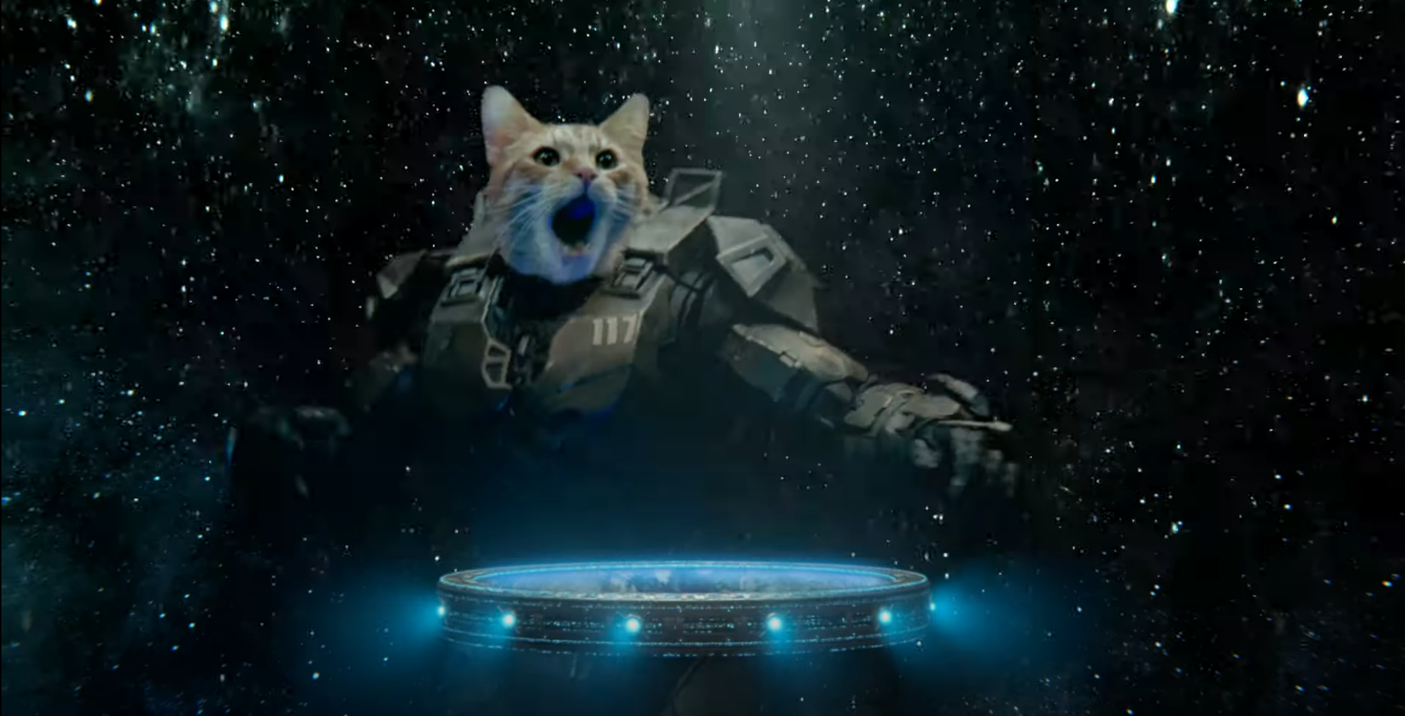 Master Chief is a small, red DJ cat according to a new ad directed by ...