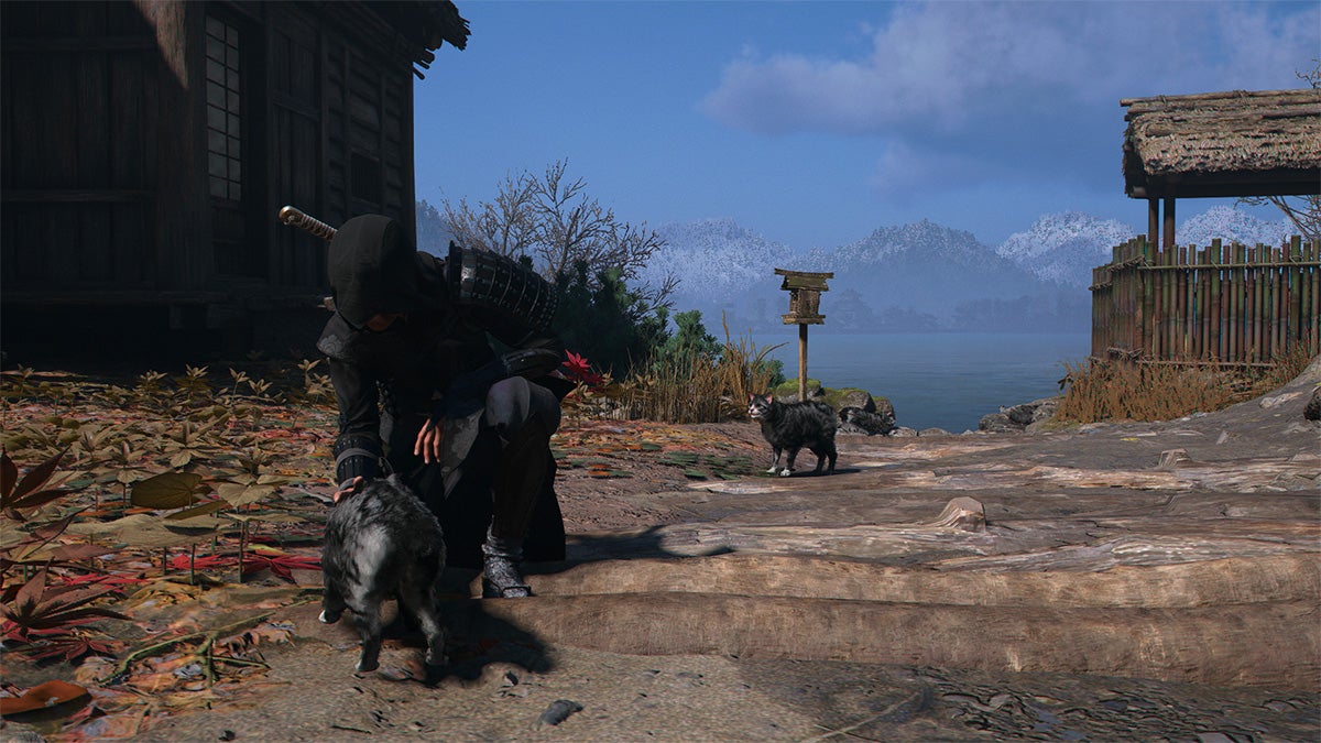 Assassin’s Creed Shadows - wyspa kotów: gdzie znaleźć, jak dostać się ...