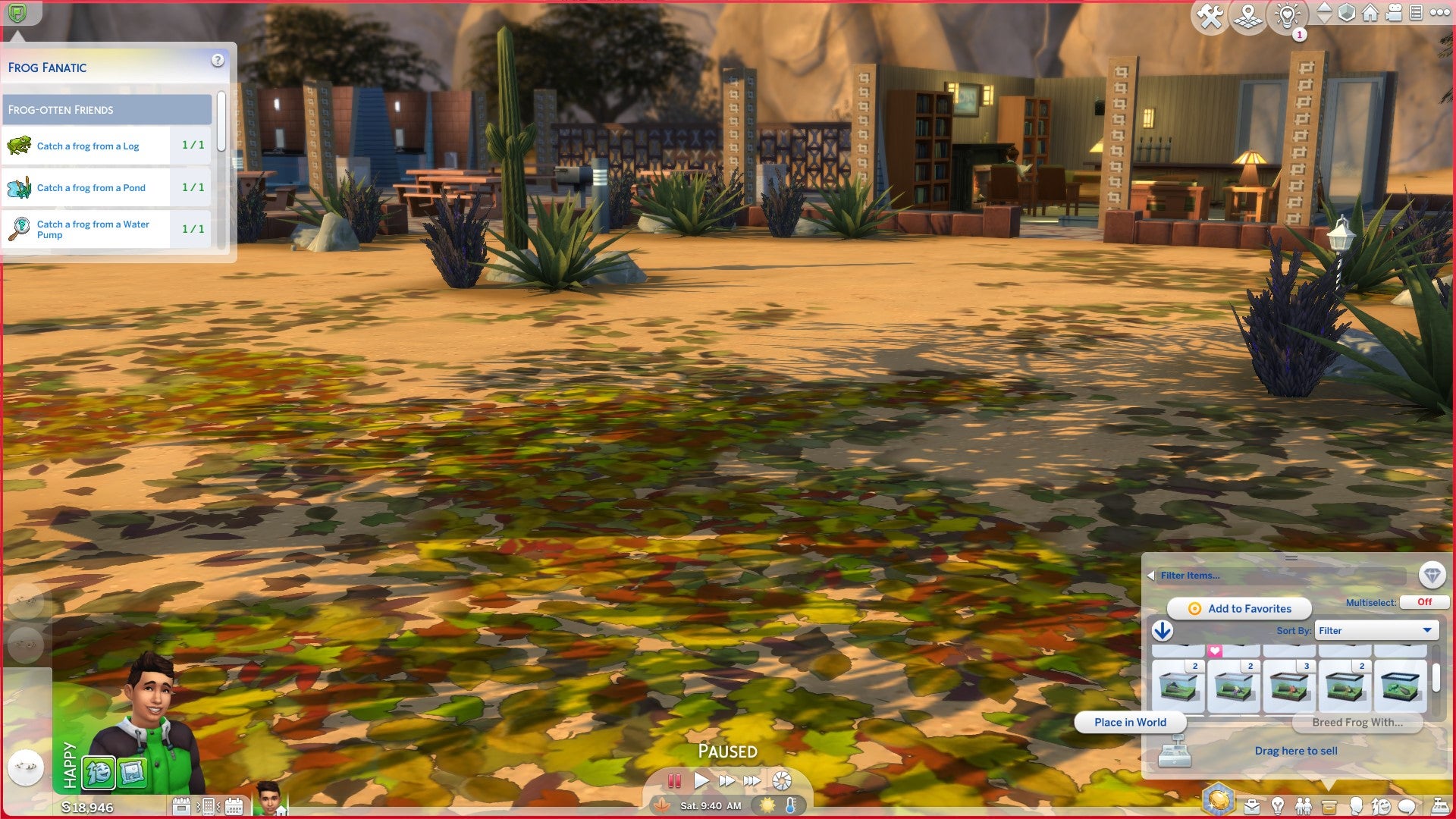 The Sims 4 Frog Fanatic scenario guide, from catching to breeding frogs ...