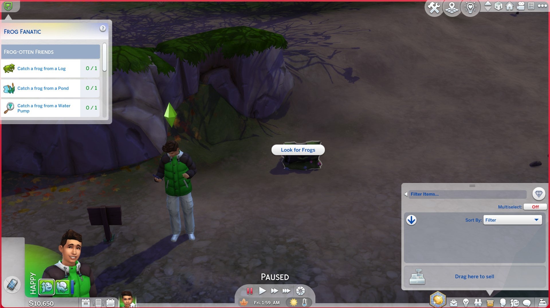 The Sims 4 Frog Fanatic scenario guide, from catching to breeding frogs ...