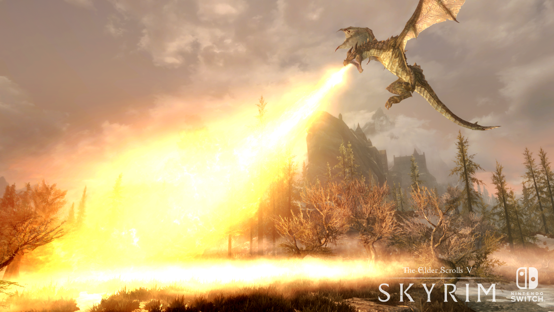 Skyrim on Switch has Zelda amiibo support and motion controls | VG247