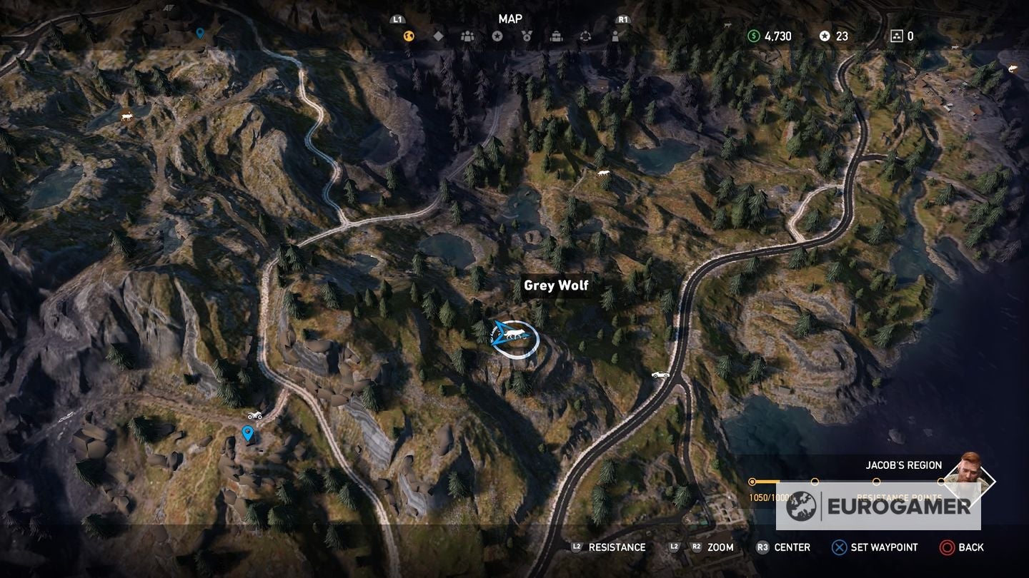 Far Cry 5 hunting: All animal locations, including bear, eagle, elk ...