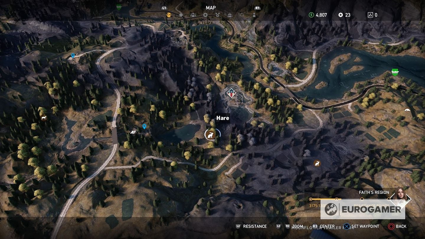 Far Cry 5 hunting: All animal locations, including bear, eagle, elk ...