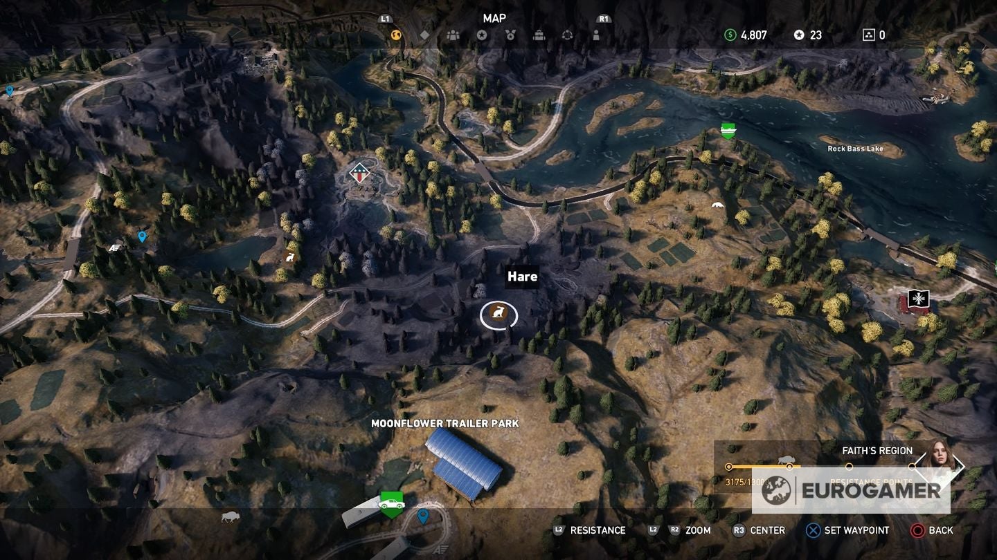 Far Cry 5 hunting: All animal locations, including bear, eagle, elk ...