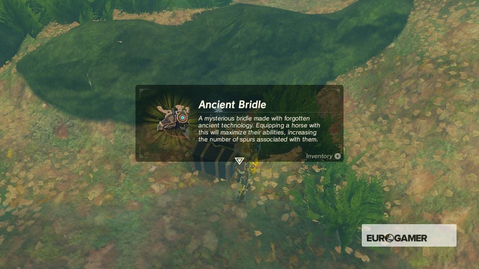 How to get the Ancient Bridle and Ancient Saddle in Zelda Breath of the ...