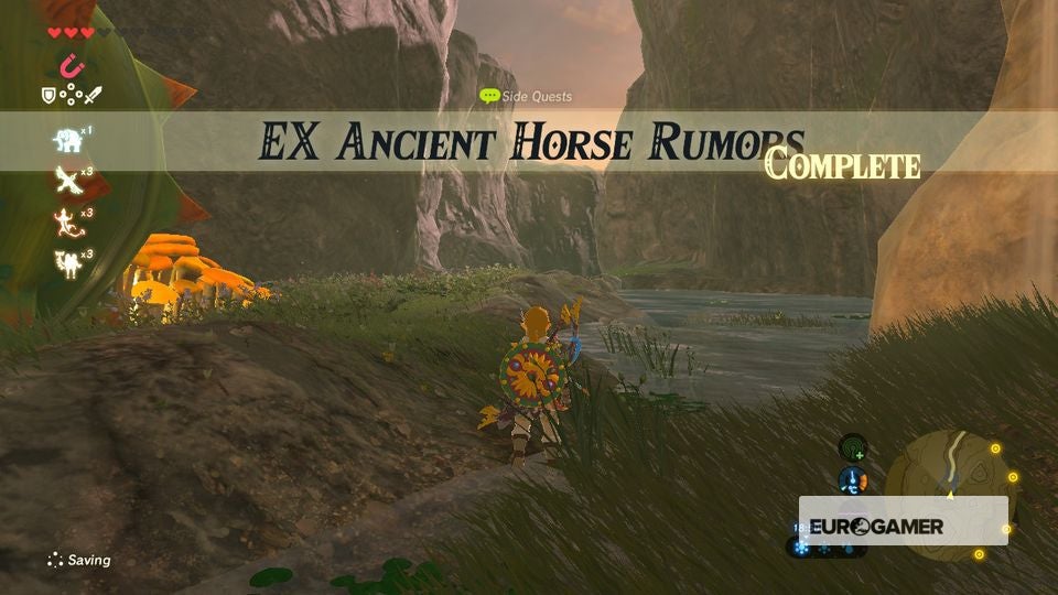 How to get the Ancient Bridle and Ancient Saddle in Zelda Breath of the ...