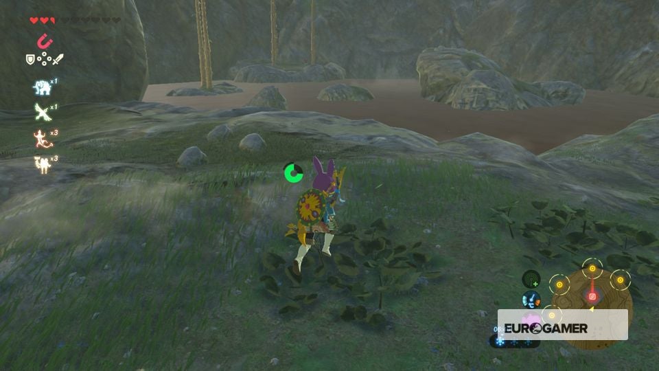 Zelda - EX Treasure: Merchant Hood, Garb Of The Winds, Usurper King ...