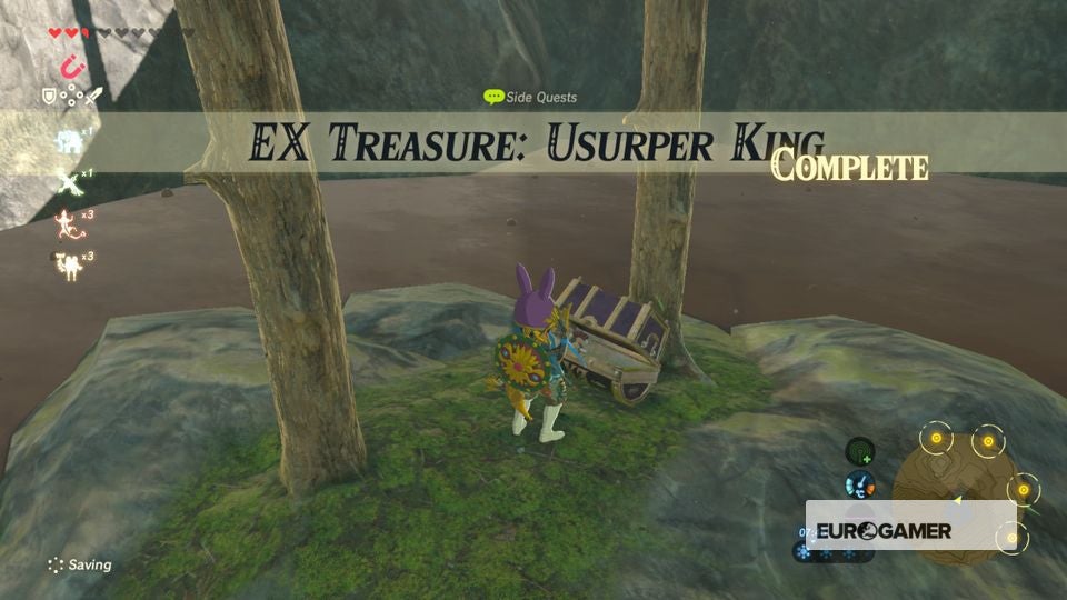 Zelda - EX Treasure: Merchant Hood, Garb Of The Winds, Usurper King ...