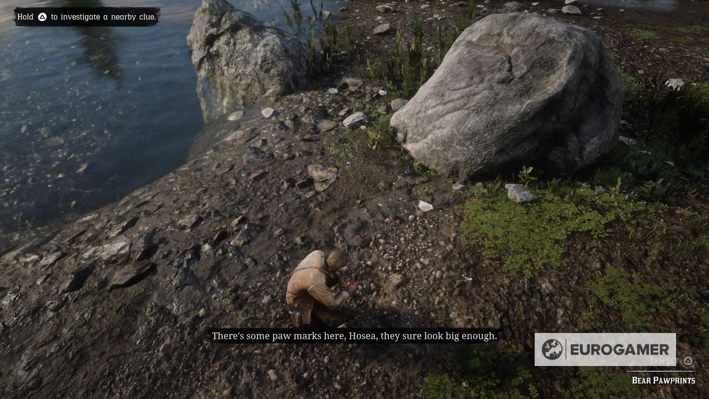 Red Dead Redemption 2 pelts - how to get perfect pelts, hides and skins ...