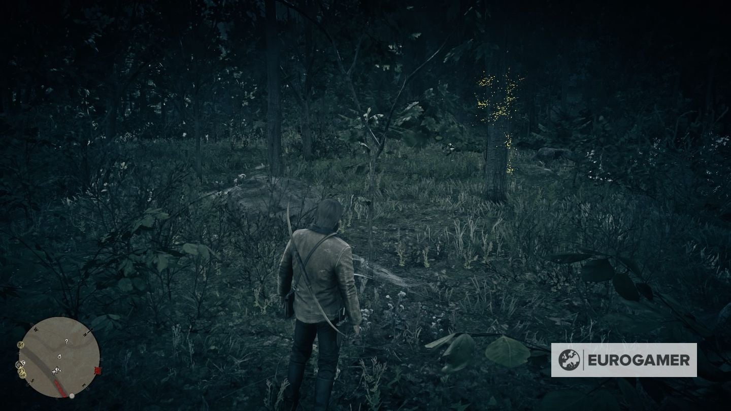 Red Dead Redemption 2 Legendary animal locations and how to defeat them ...