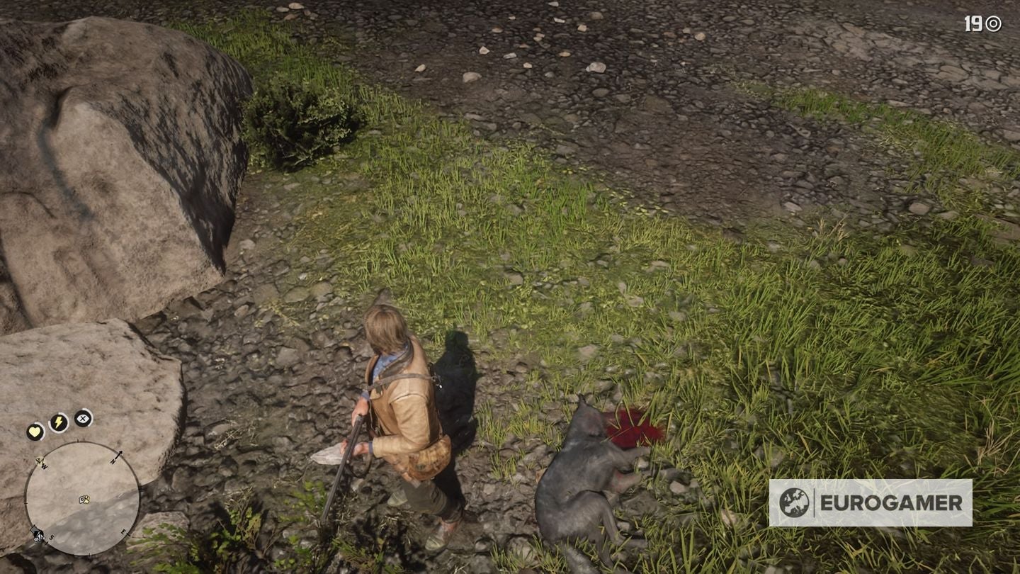 Red Dead Redemption 2 Legendary animal locations and how to defeat them ...