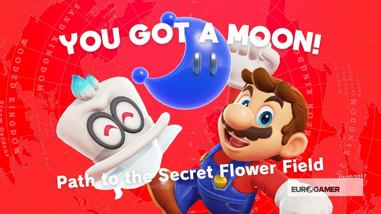 Super Mario Odyssey - Pass to the Secret Flower Field and Defend the ...