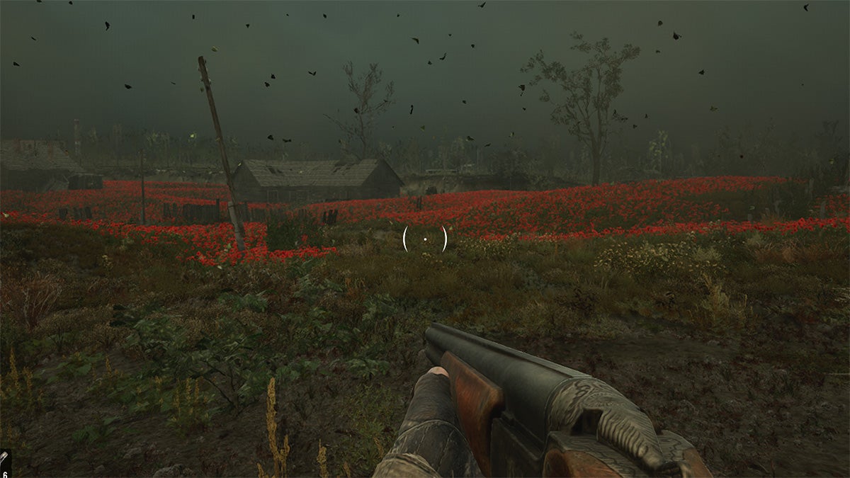 Stalker 2 - Pole Maków: znajdź piwnicę, ikona, Pomor, Pole Maków ...