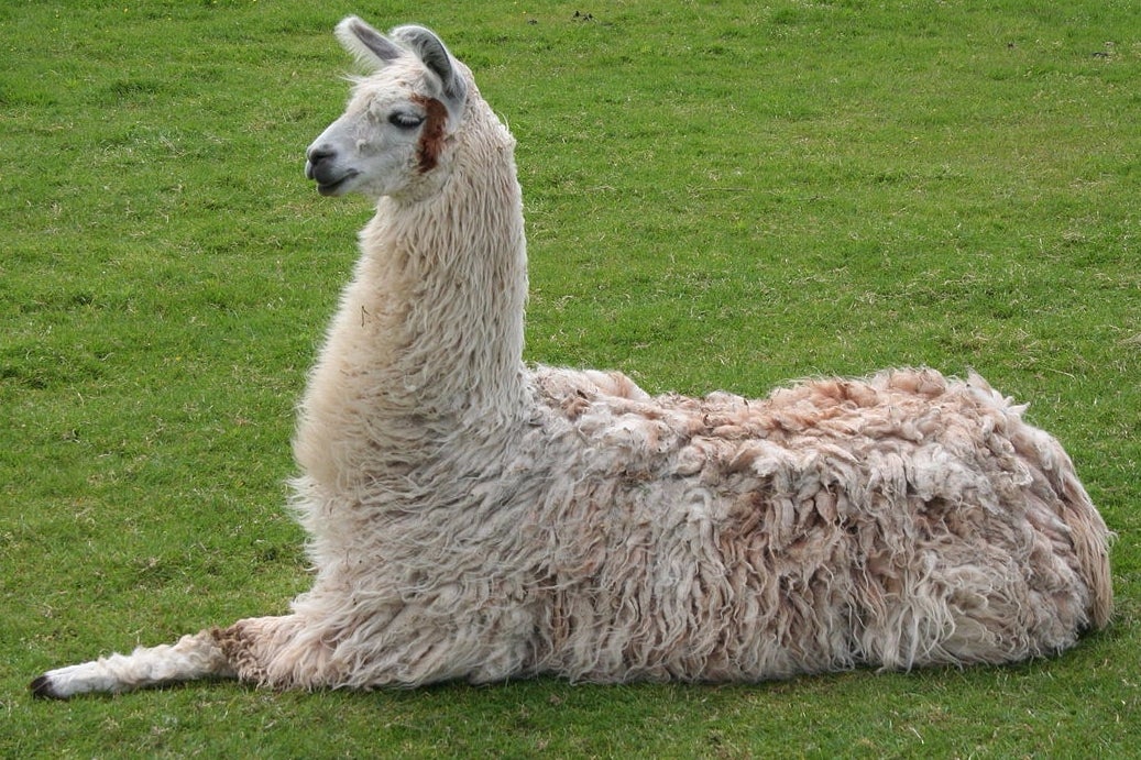 Tempest 4000 is real, Jeff Minter is developing it and Atari is ...