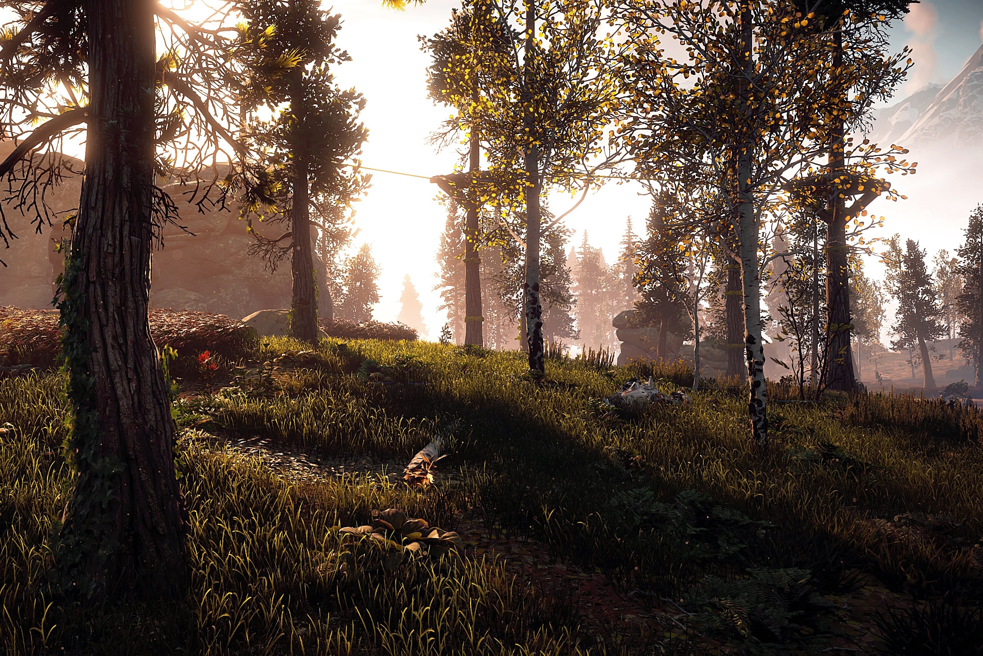 The power of spring in Horizon Zero Dawn, Everybody's Gone to the ...