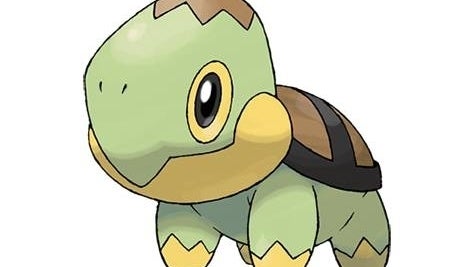 Pokemon Torterra Evolution
