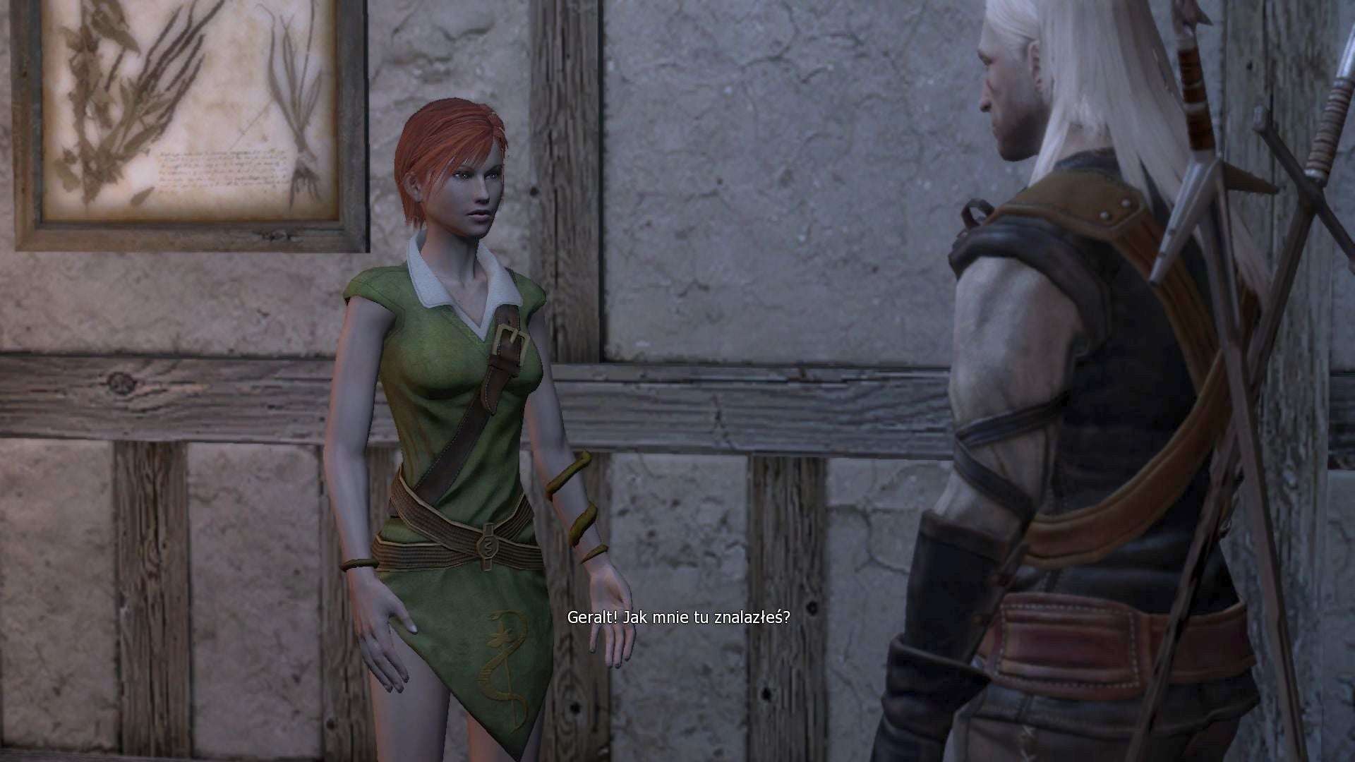 Wiedźmin 1 - Przyjaciółka z dawnych lat: Shani, nasiadówka | Eurogamer.pl