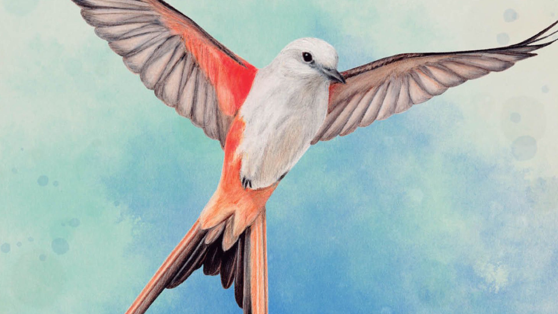 Wingspan has sold over 1 million copies in just three years | Dicebreaker