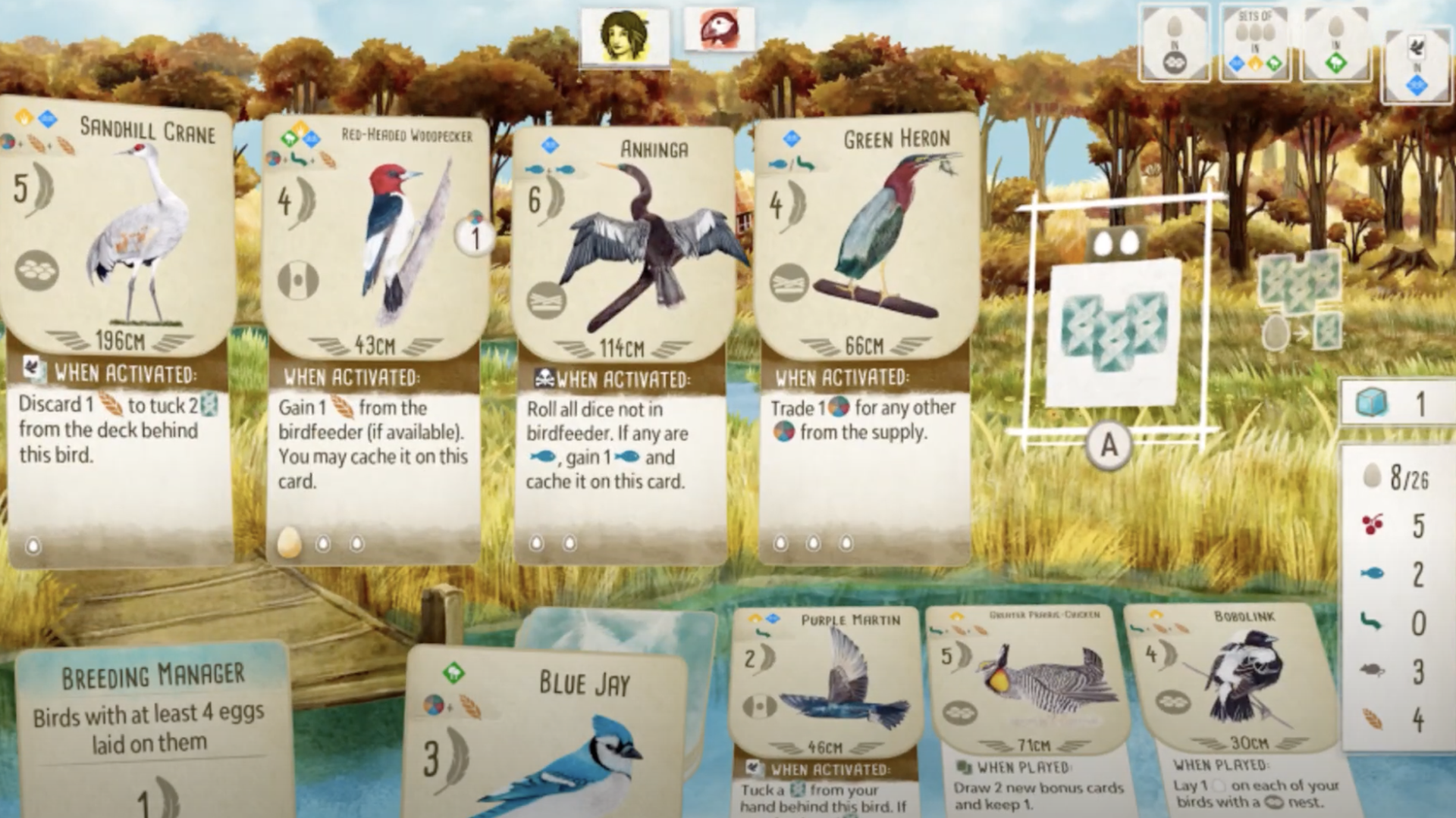 Wingspan | Dicebreaker
