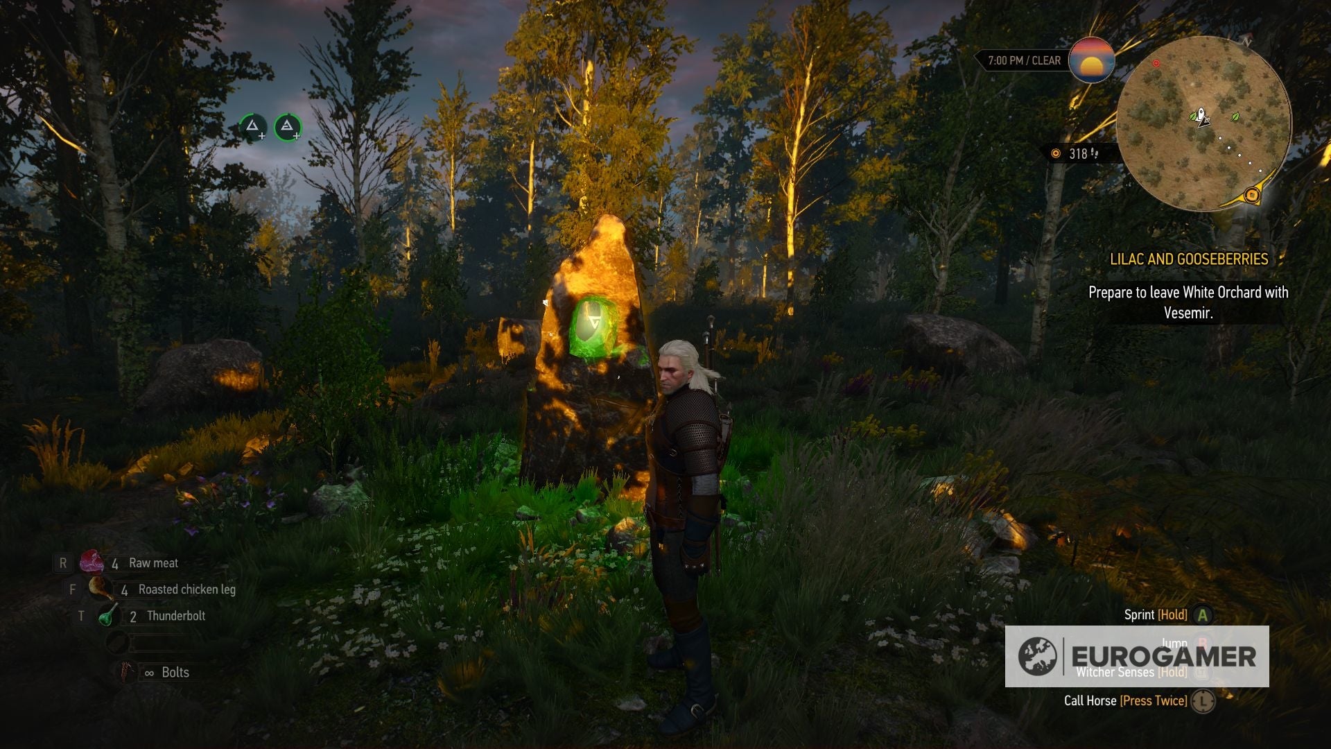 The Witcher 3 Places of Power locations list | Eurogamer.net