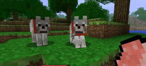 Minecraft Dog Sitting