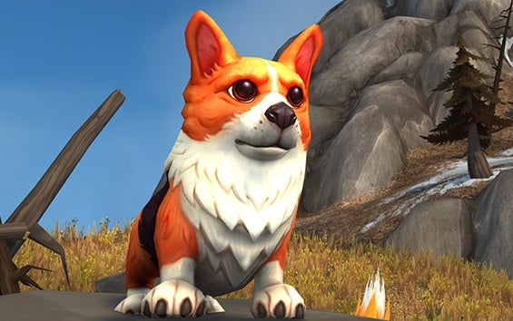 Meme Corgi Wow Wow 😍🐾, TAG A Friend 👦👩, Reposted From