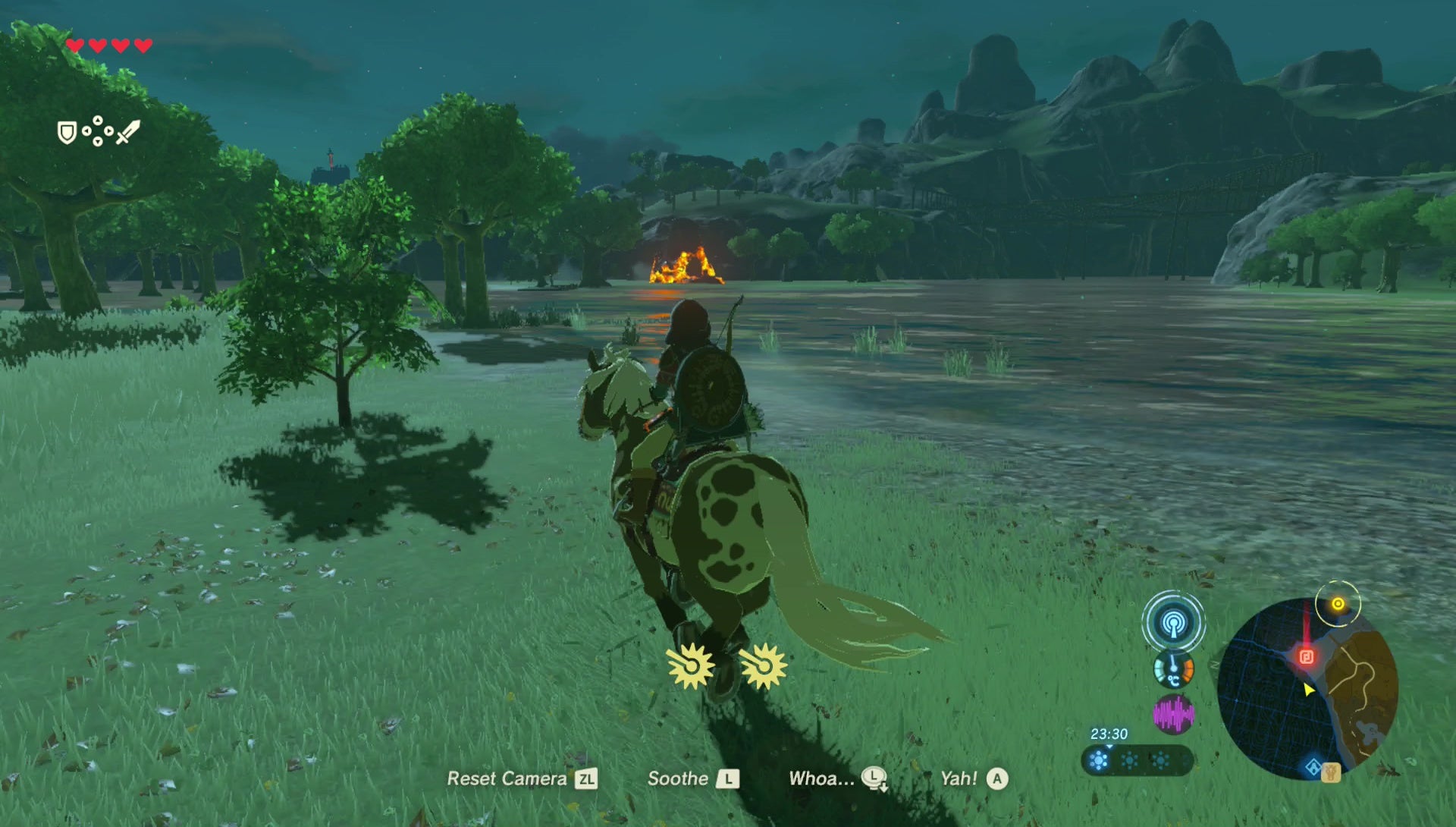 Breath Of The Wild Flower Shrine | Best Flower Site