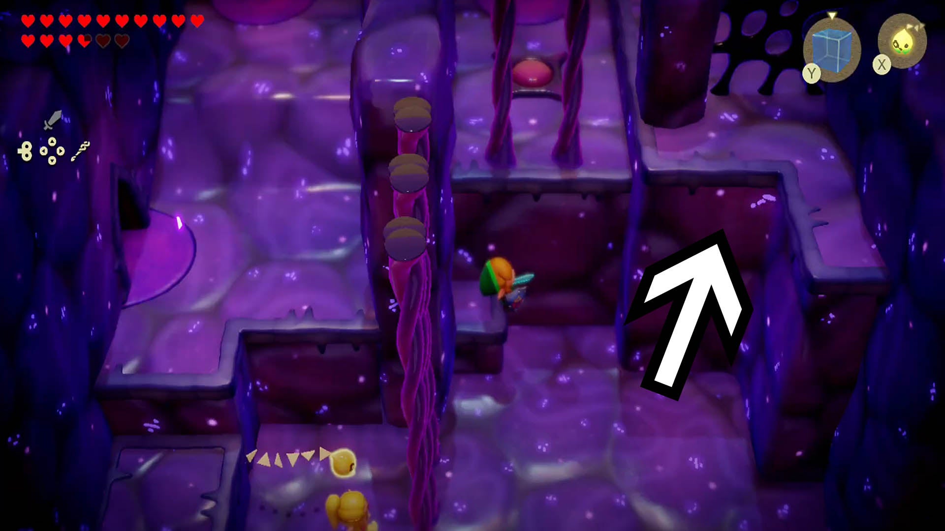 Zelda Echoes of Wisdom Null's Body walkthrough | Eurogamer.net