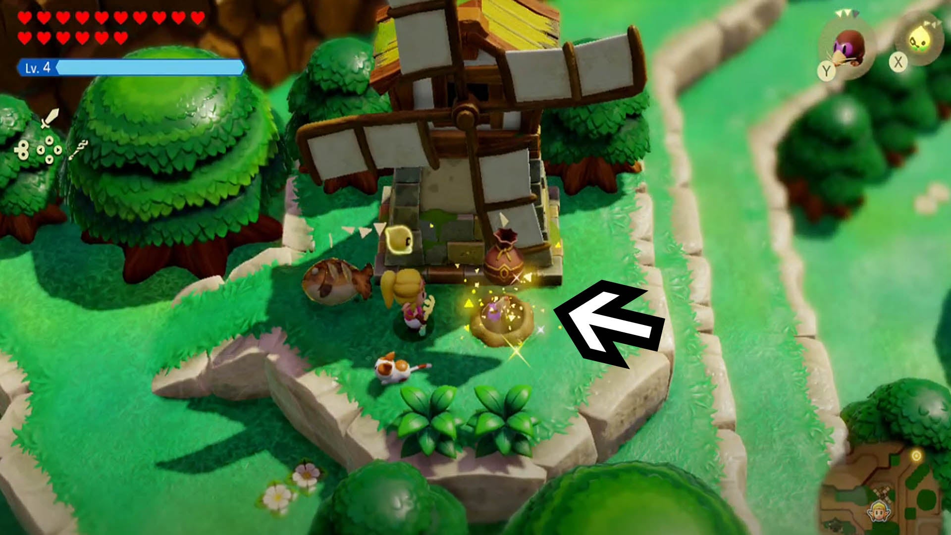 Questioning the Local Cats walkthrough in Zelda Echoes of Wisdom ...