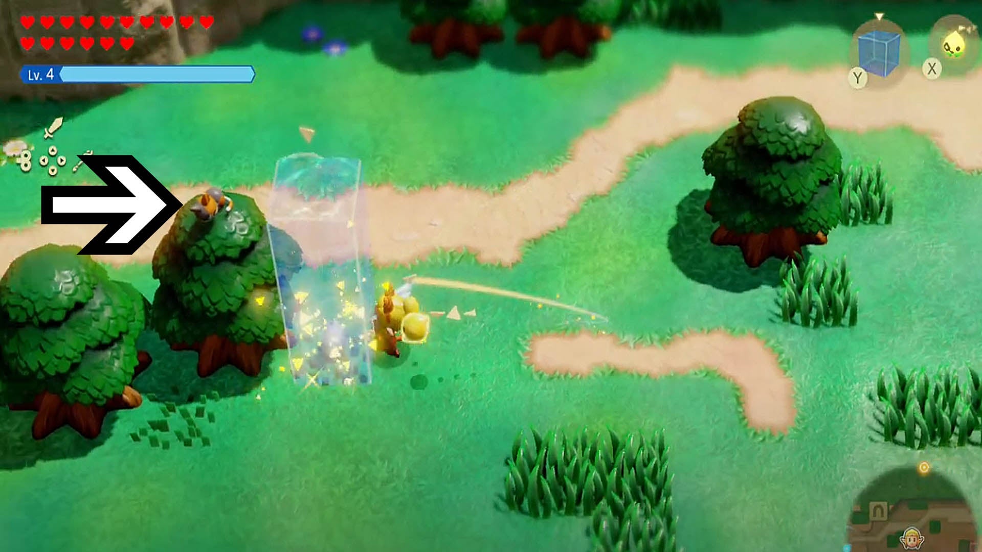 Questioning the Local Cats walkthrough in Zelda Echoes of Wisdom ...